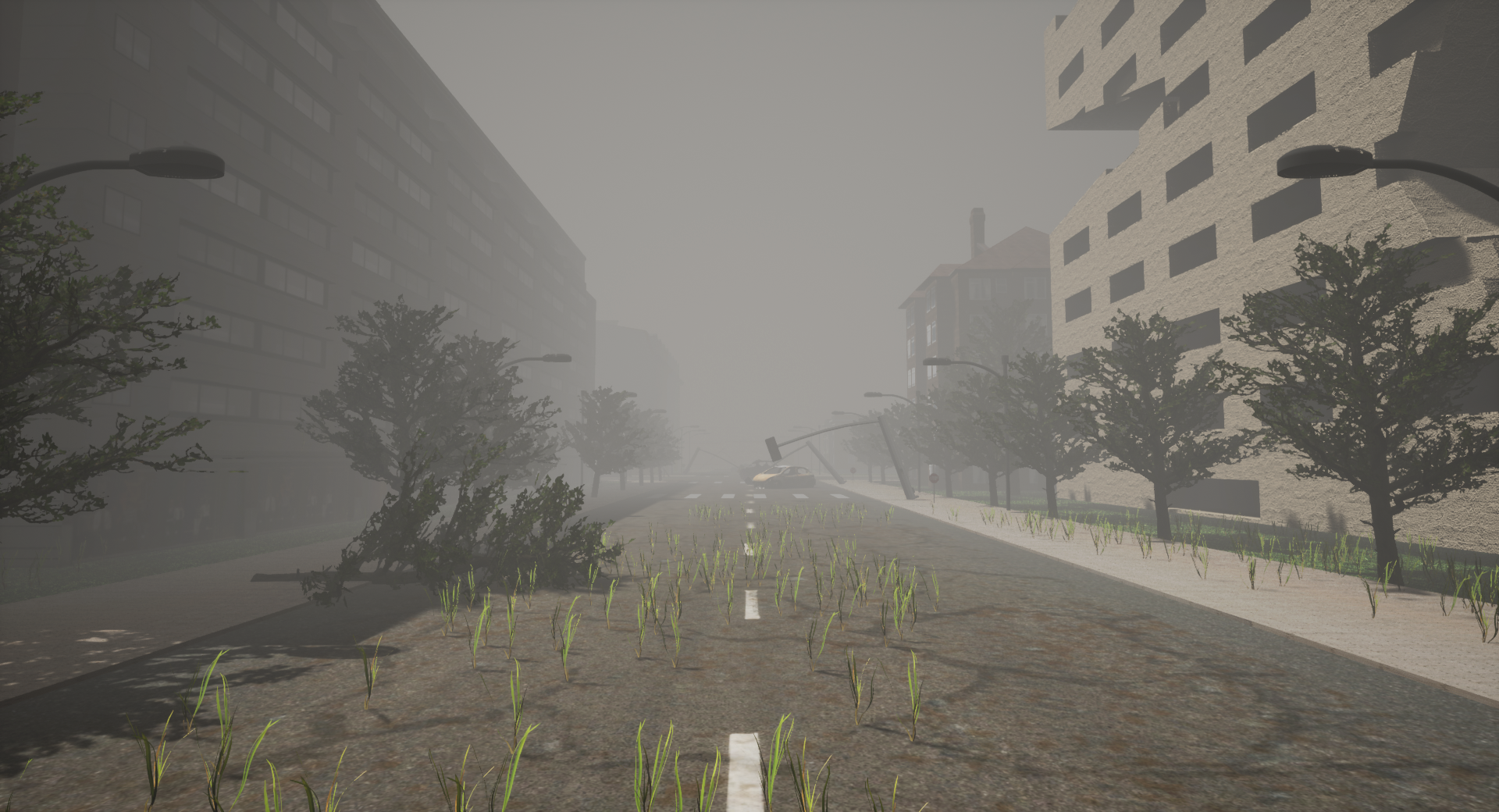 ZONA Remastered by Roma Studio