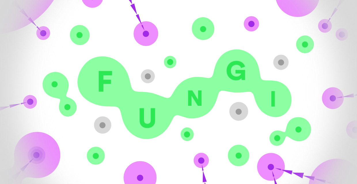 fungi.game by NONLINE