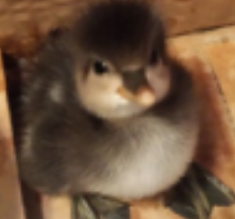 Mega PSX Asset Pack Sale!! - itch.io