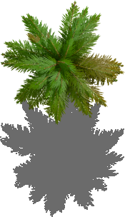 Devlog - Trees game assets (view from above) by WarrenGames