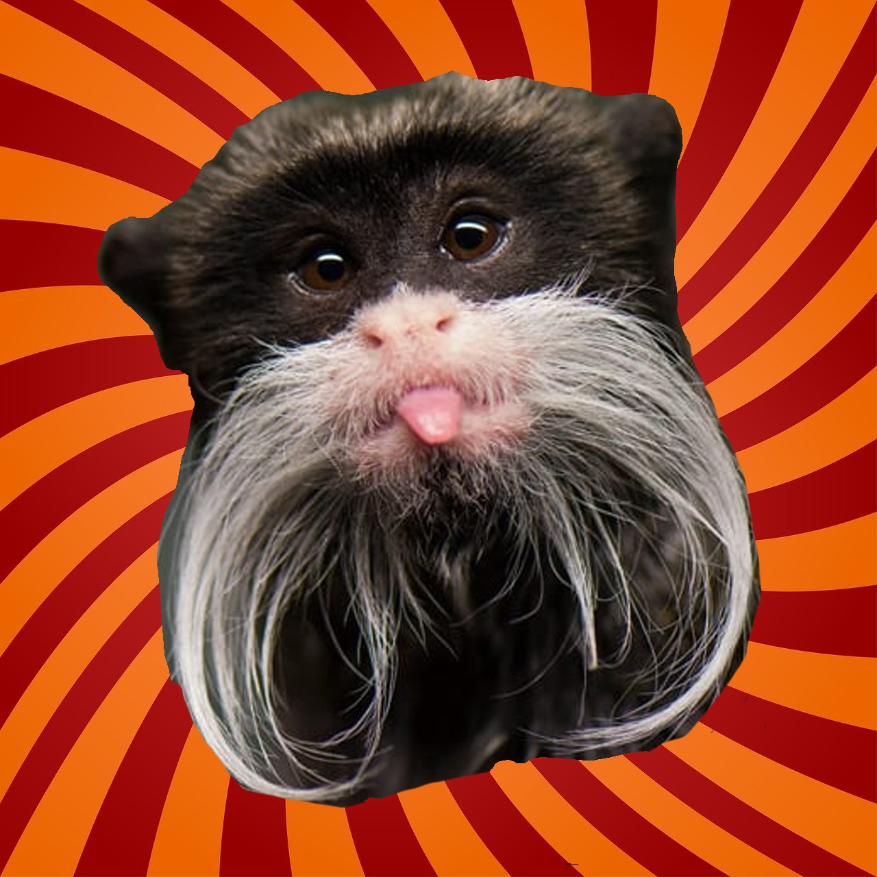 Tamarin Reborn(Release) by flylikedemonke