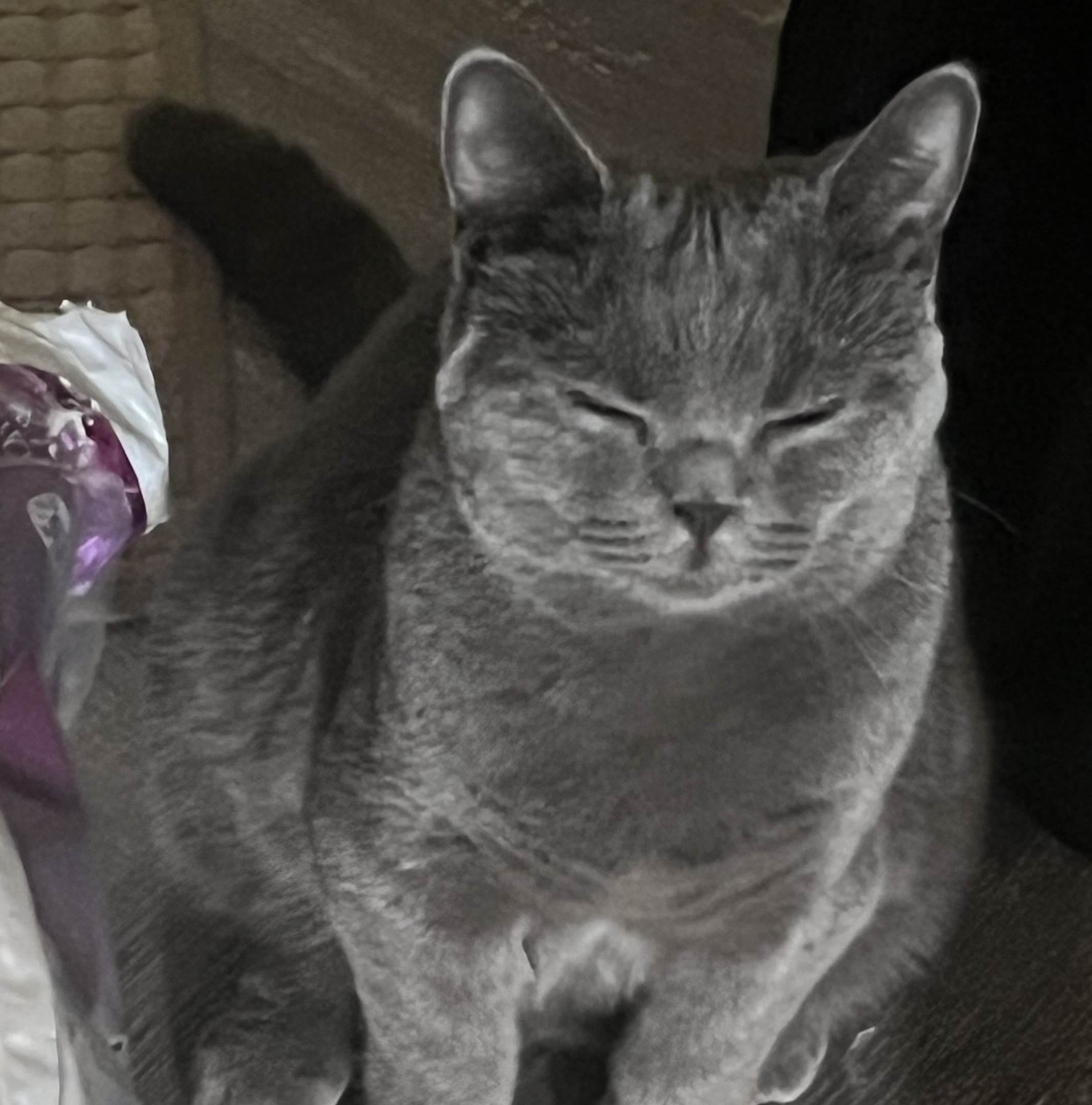 My Dafty Pal by Vaque