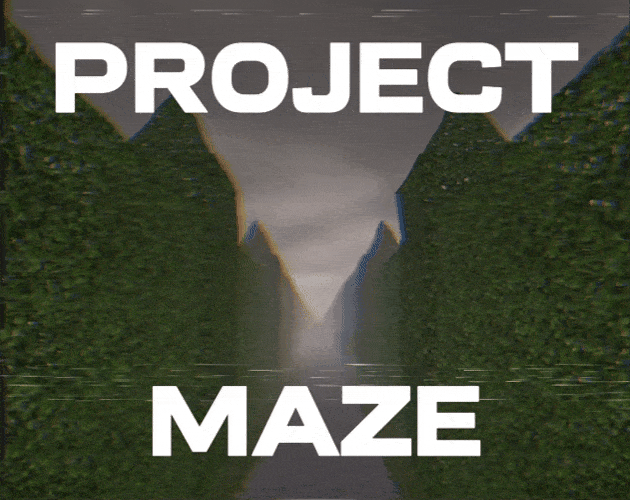 Project Maze by Vuk Dobric