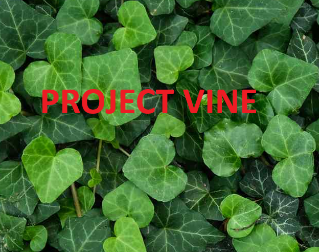 Project Vine by ImDumbDev