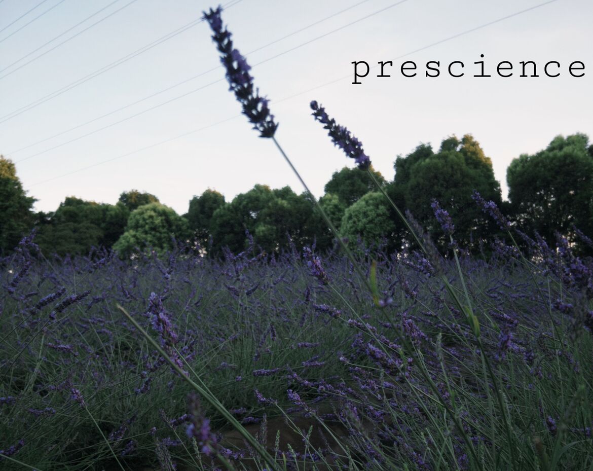 prescience by pineliquor