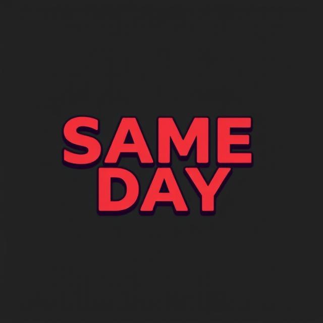 SAME DAY by lupusoft