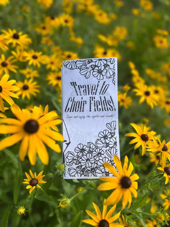 Travel to Choir Fields! by splurgy