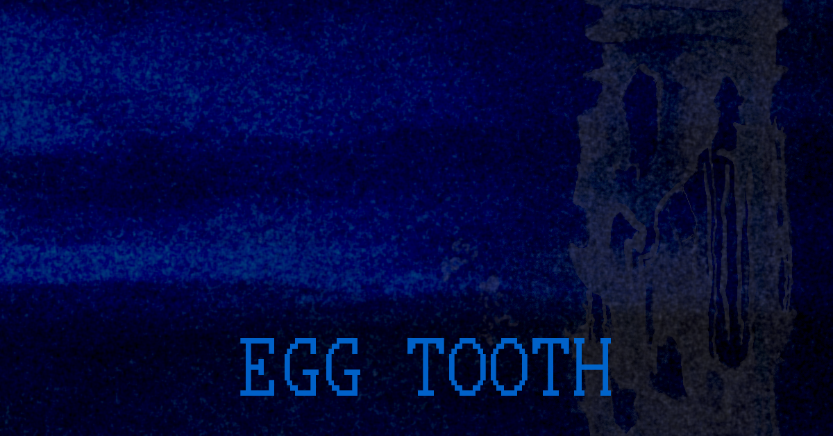 EGG TOOTH by solflo