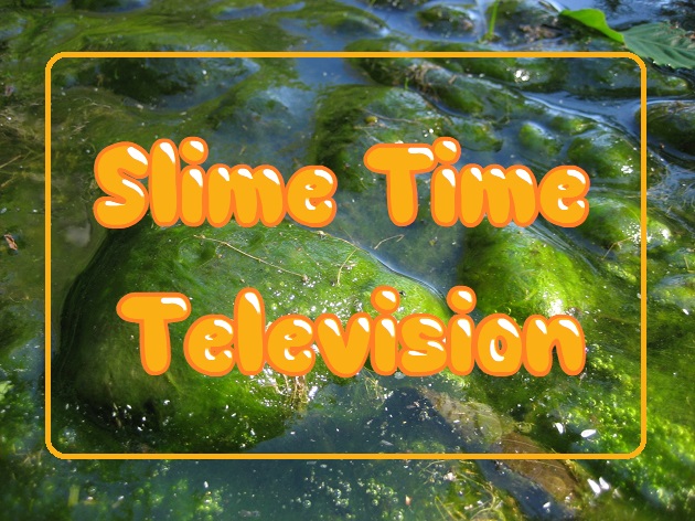 Slime Time Television by Ben K Rosenbloom