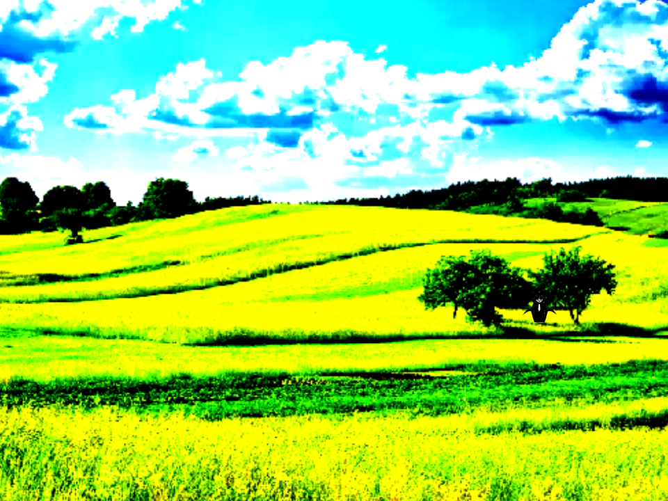 Comments 71 to 71 of 71 - Spralt by Malachi_Mystic