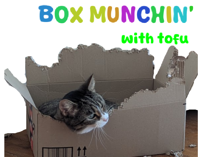 Box Munchin' by mrrou