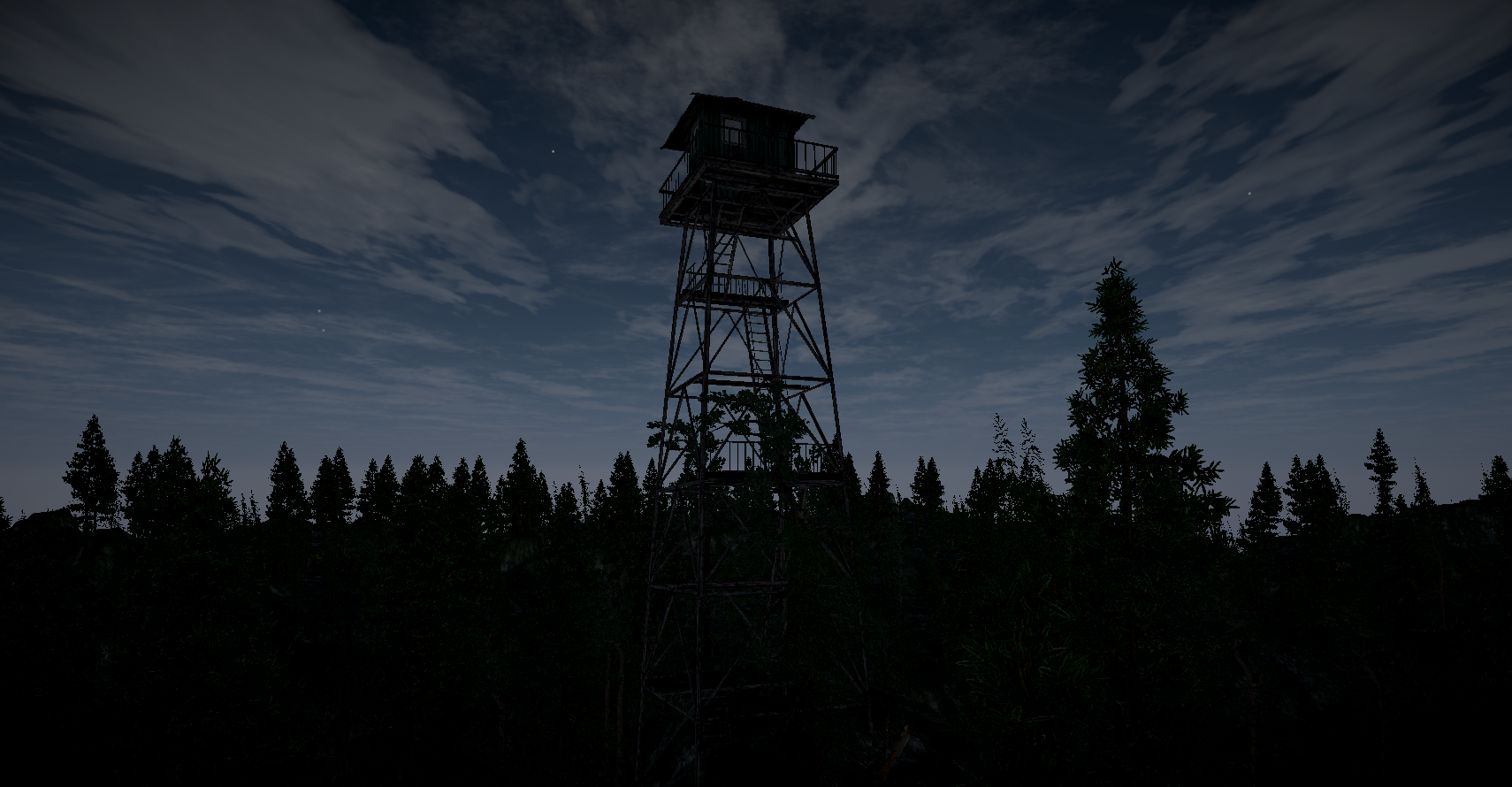 Goodnight Forest? by Evan Tan