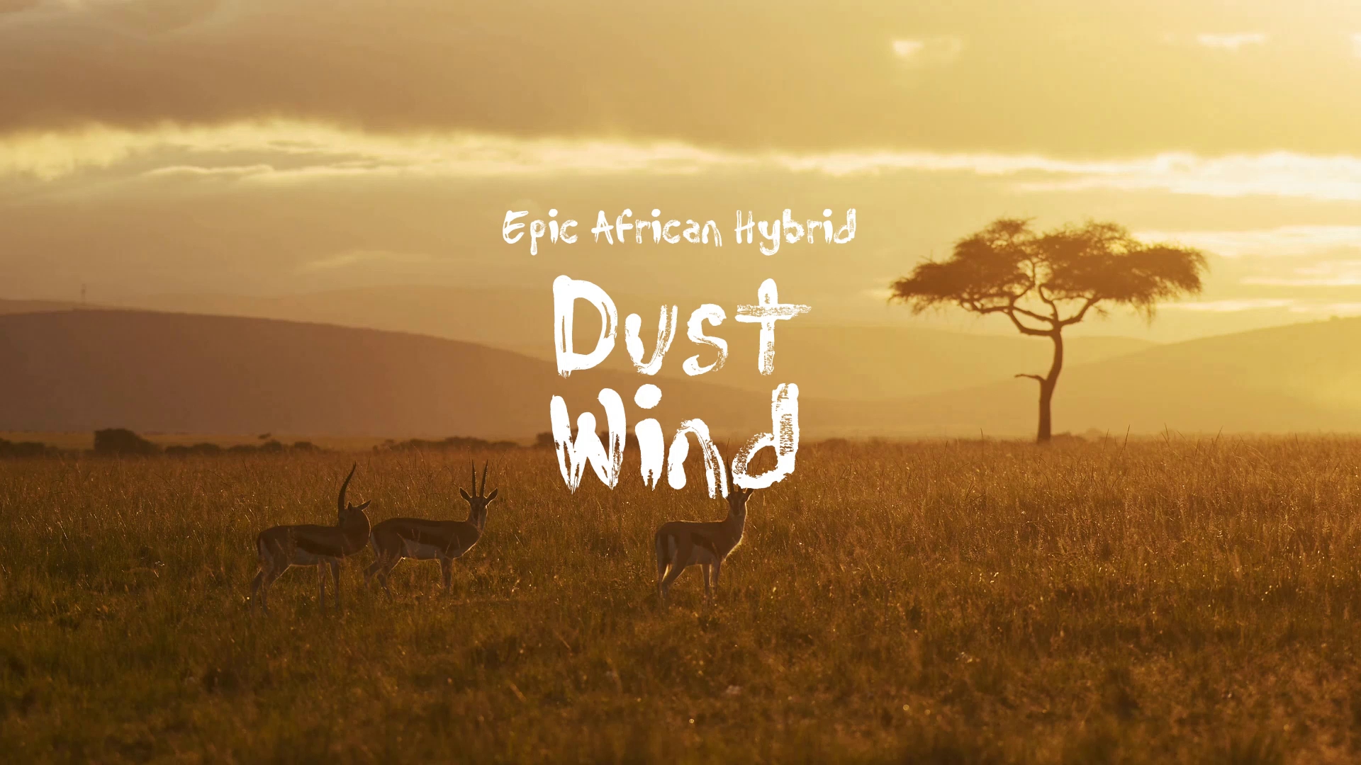 Dust Wind Vol4 / Epic African Hybrid by MOOB