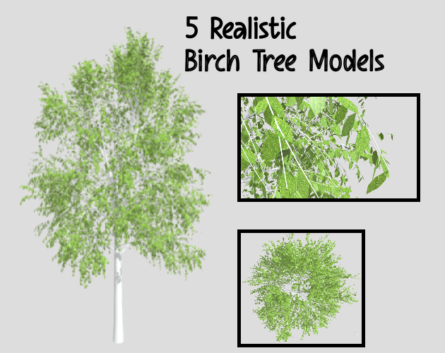 Tree 3D Pack - Birch by ToffeeCraft