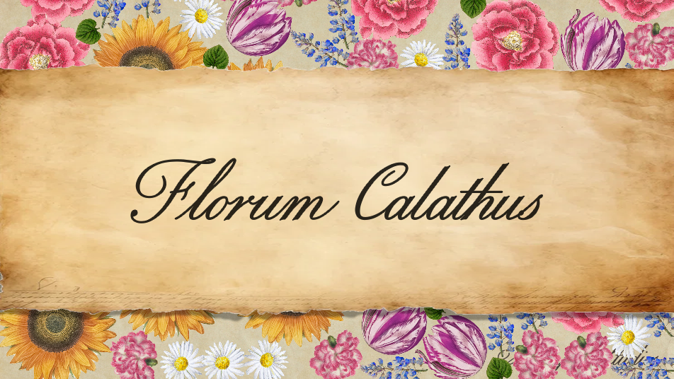 Florum Calathus by calebmartin