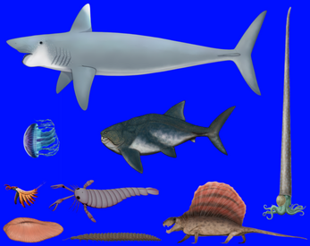 Prehistory Explorer Part 01 - Ediacaran to Paleozoic by Adam Lever Games