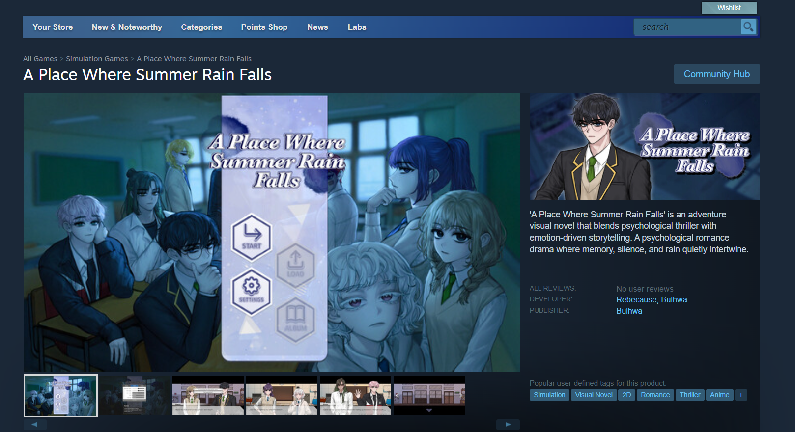 Steam page & Pre-orders are now live! - [Demo] A Place Where Summer ...