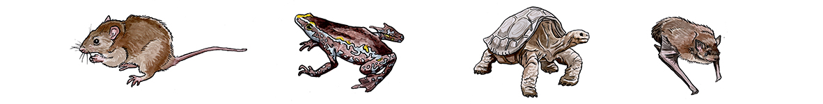 Extinct Animals Art Asset Pack (Ink + watercolor) by Sleepy Badger Games