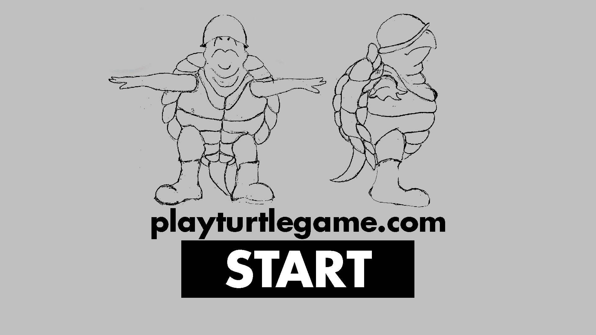 Play Turtle Game by TORIN the Turtle