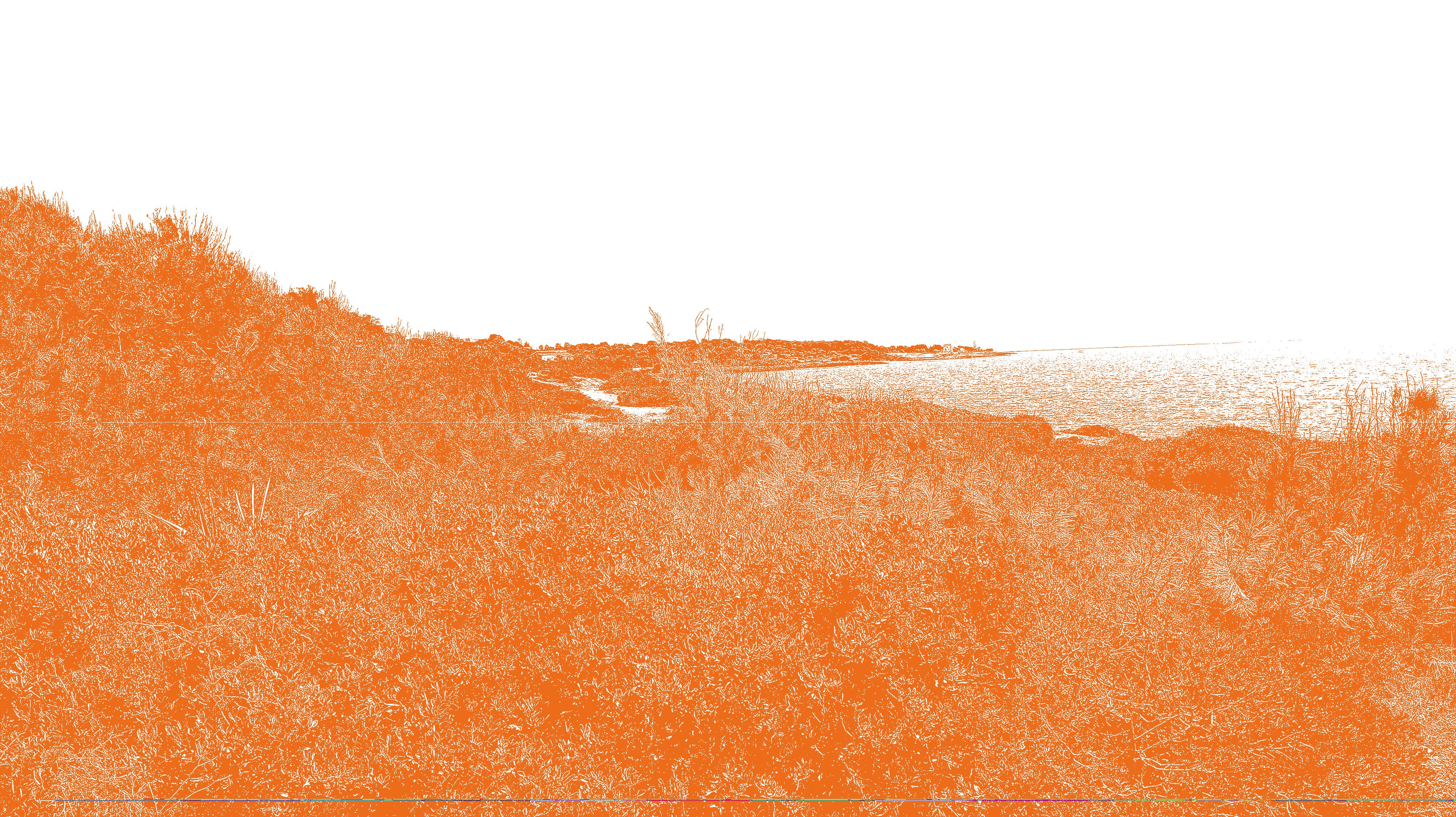 Float-ditherer a 1-bit dithering software - Release Announcements - itch.io