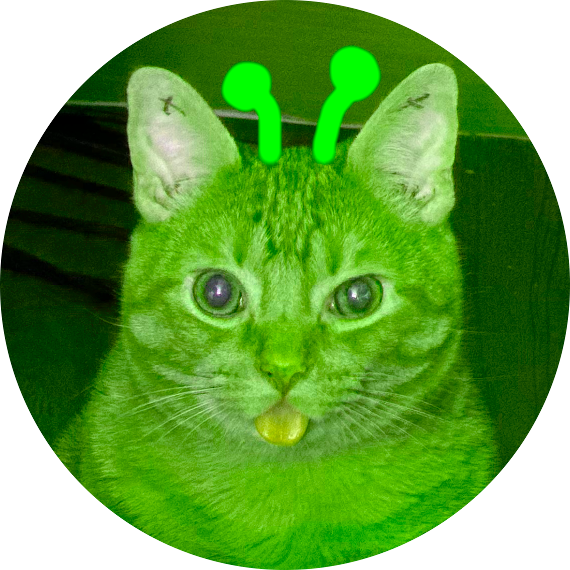 gleepy glorpy trail by beandon22