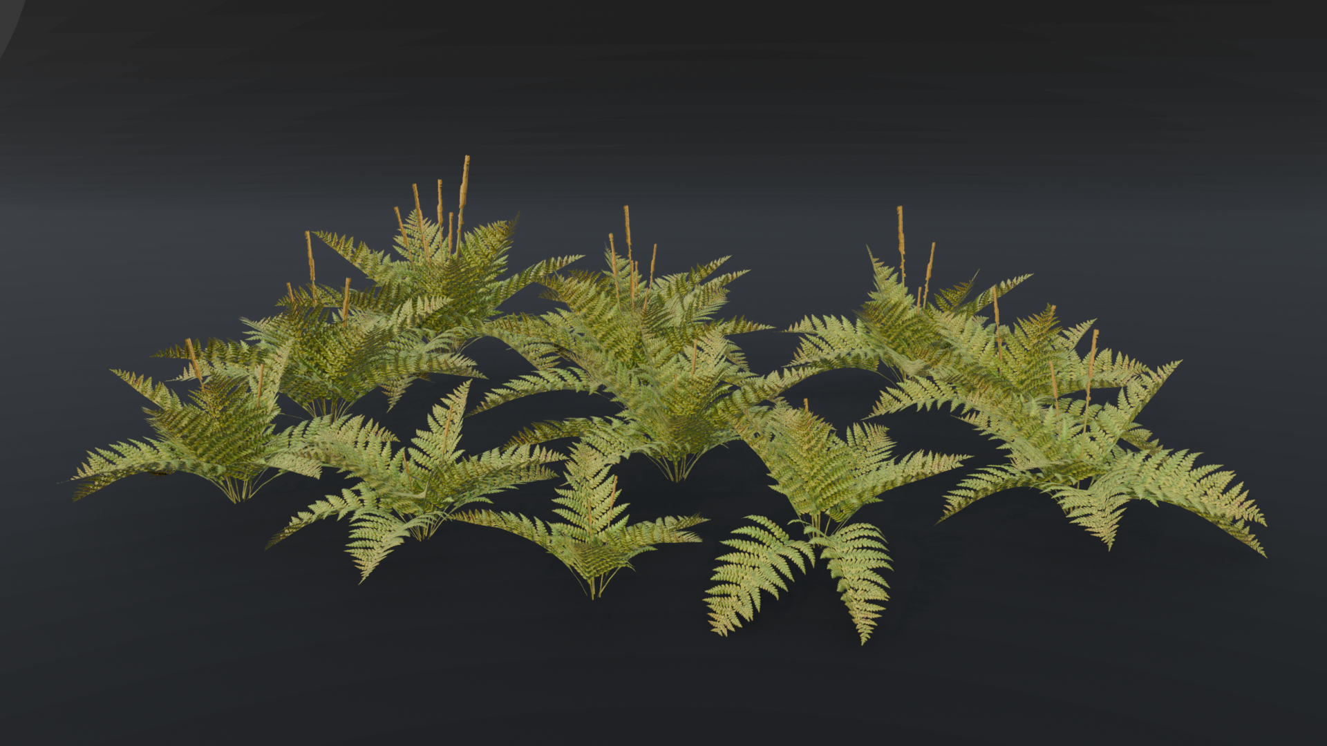 The Cinnamon Fern Bush by Future/Past Creatives