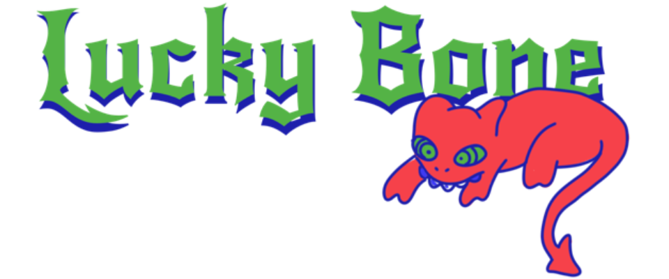 Lucky Bone by Jacqueline Koch