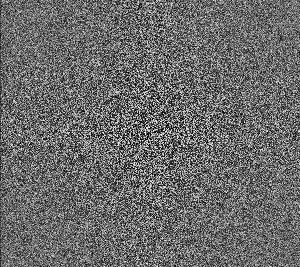 [blank] by Ray Himmel