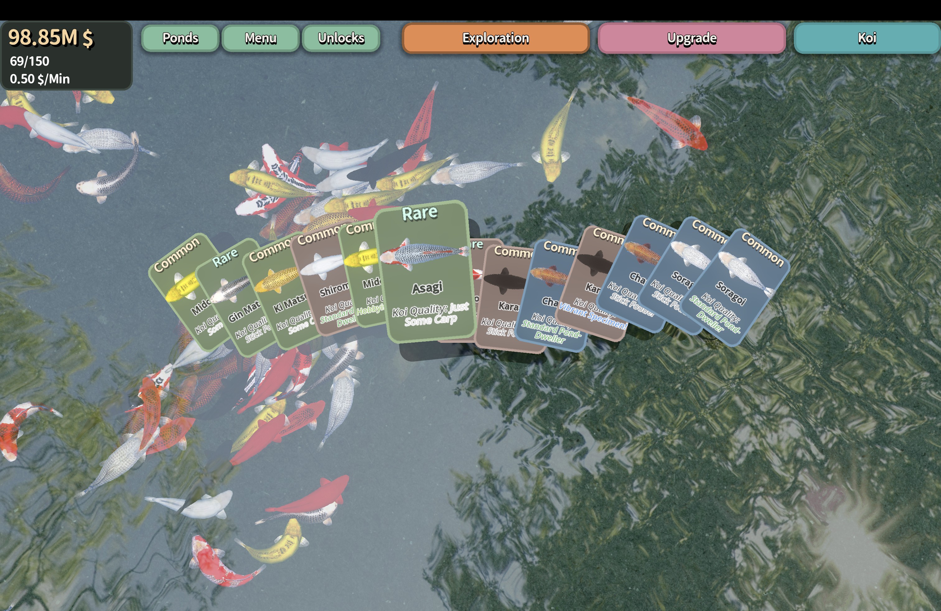 New Update in coming! New koi age and quality system and More ...