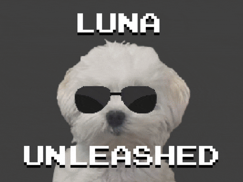 LUNA UNLEASHED by Mr. Pickles 12