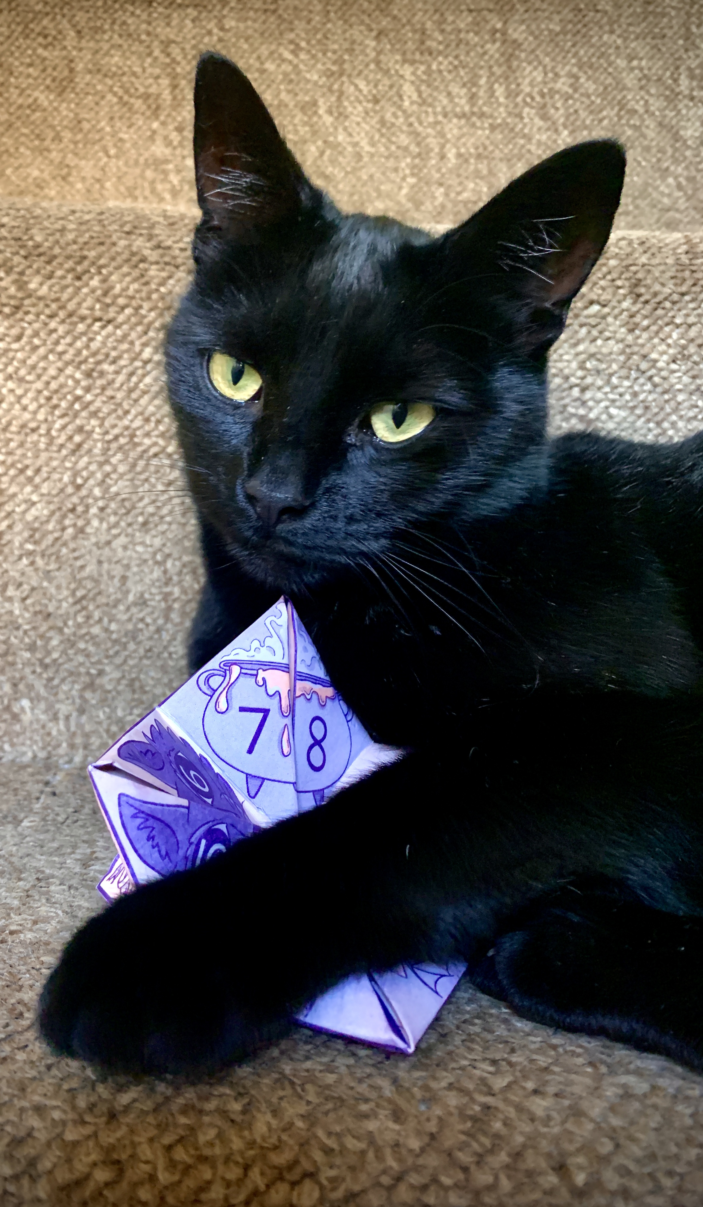 Fortune Teller for Spooky Drawings by The Wayward Adventurers Guild