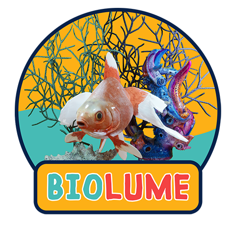 BioLume by Bomborant