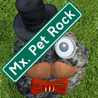 Mx. Pet Rock by Unreality3D