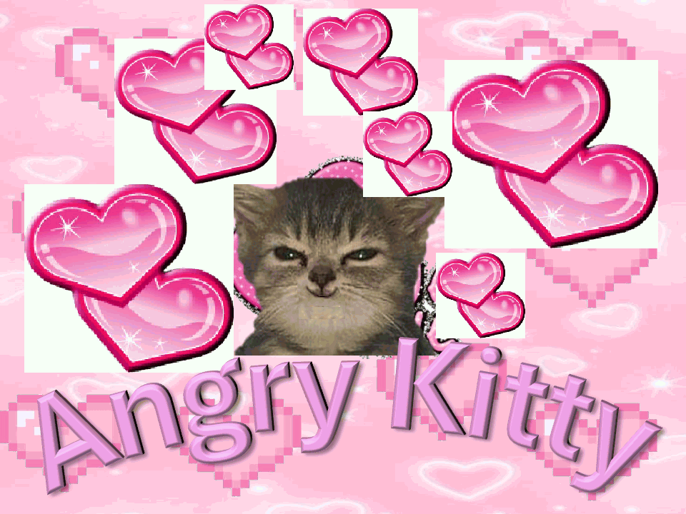 Angry Kitty by BigbeefySharkBabyyy
