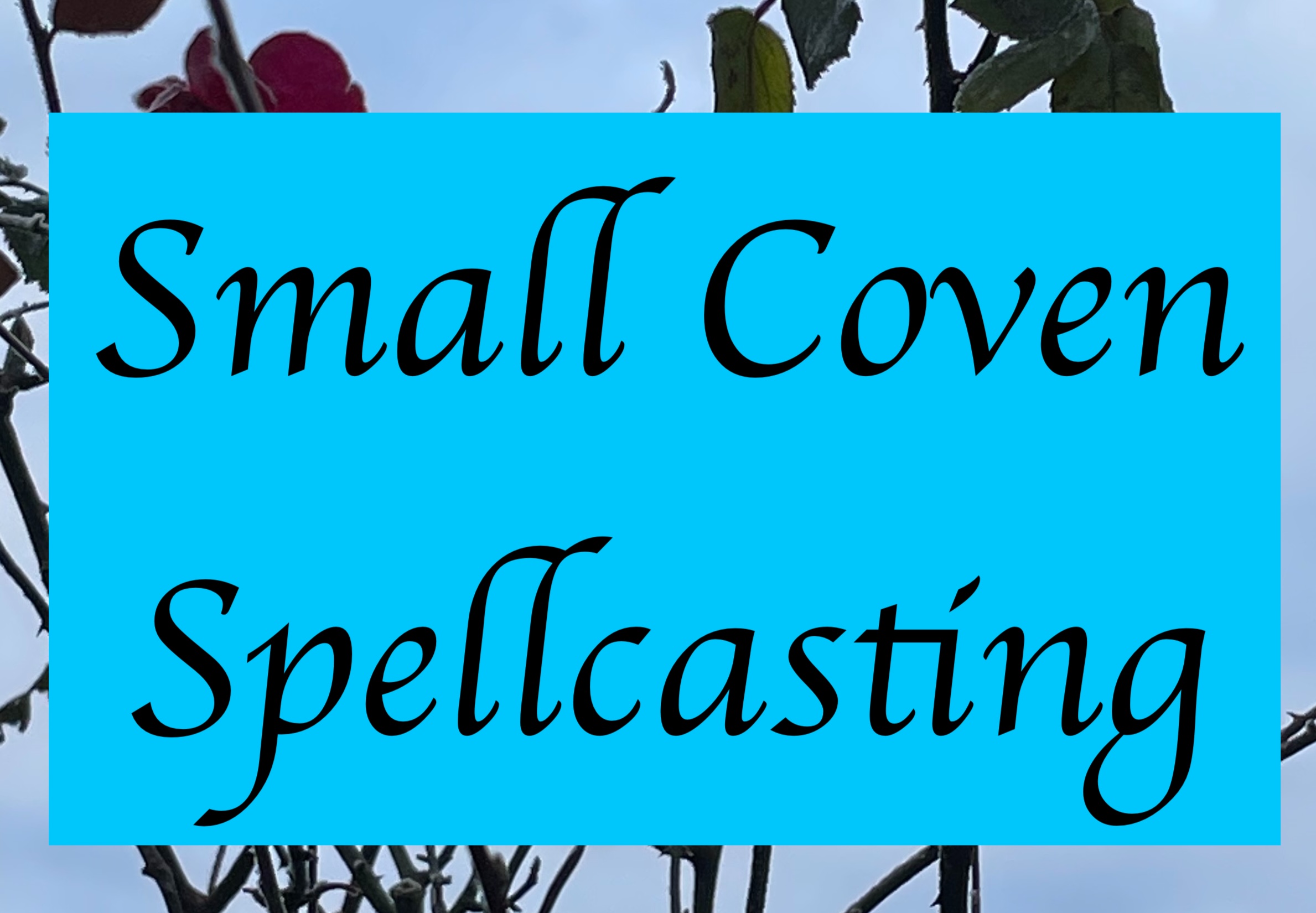 Small Coven Spellcasting by bittybee123