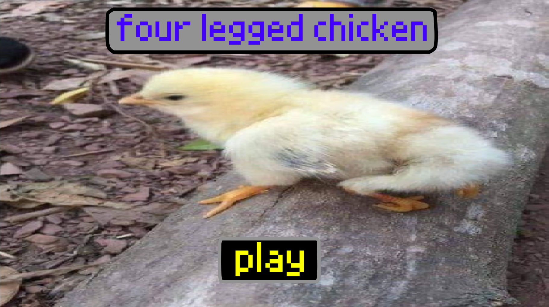 four legged chicken by Danielsese