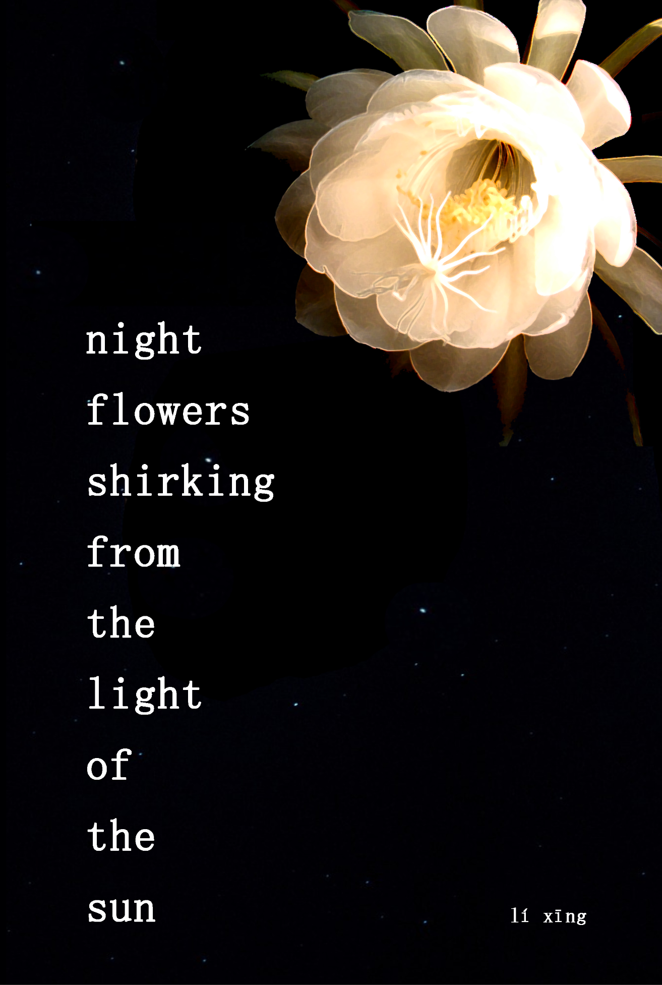 night flowers shirking from the light of the sun by obstinateRixatrix