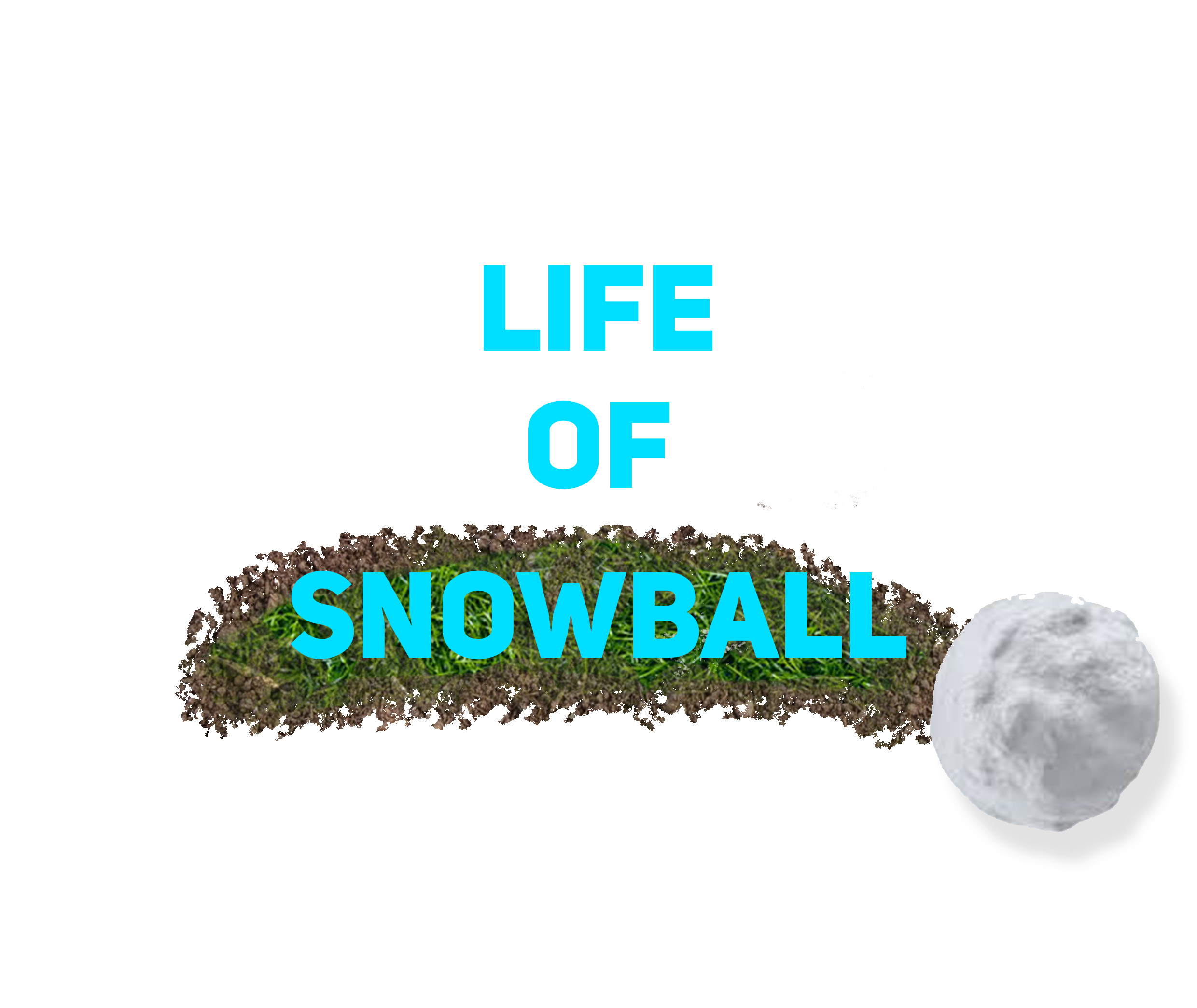 Life of Snowbal by Pulmanoria