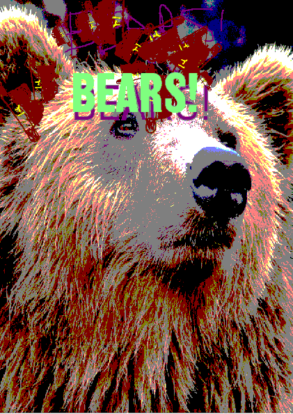 Bears! A Zine by Isla Hinck