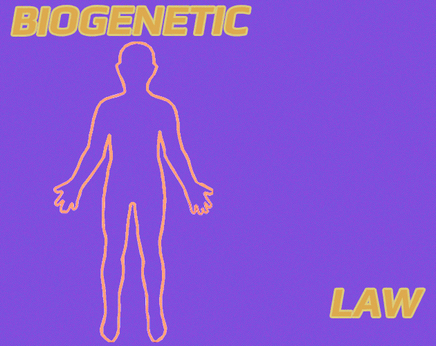 Biogenetic Law by Bromberry