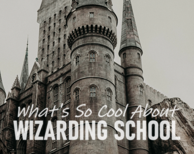 What's So Cool About Wizarding School by Litza Bronwyn