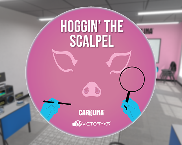 VR Pig Dissection: Hoggin' the Scalpel by VictoryXR