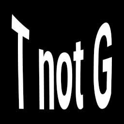 T not G by XATE Media