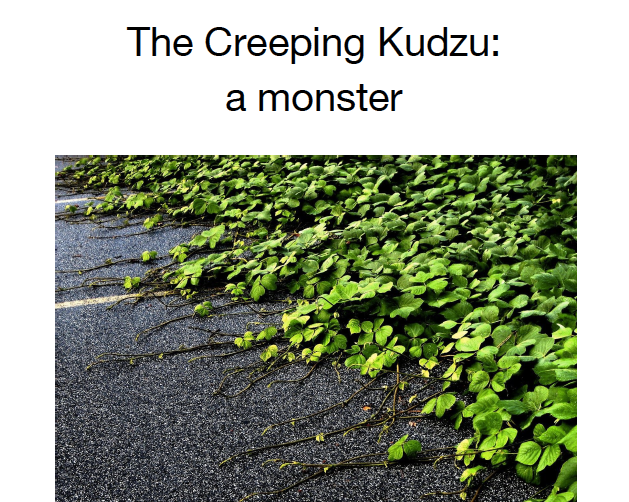 Creeping Kudzu: a Monster Zine by Ruth Tillman
