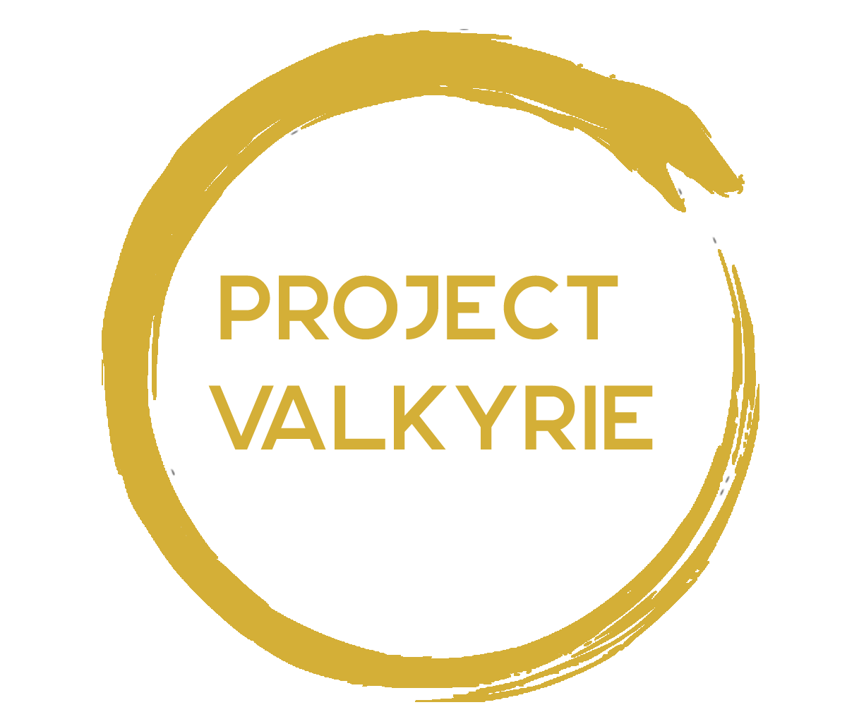 Project Valkyrie by Matt Sutton, David McAlle
