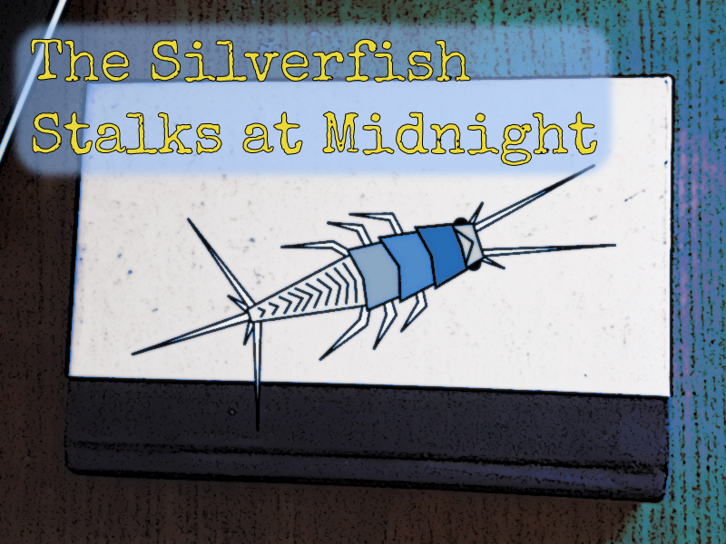 The silverfish stalks at midnight by ReimJ