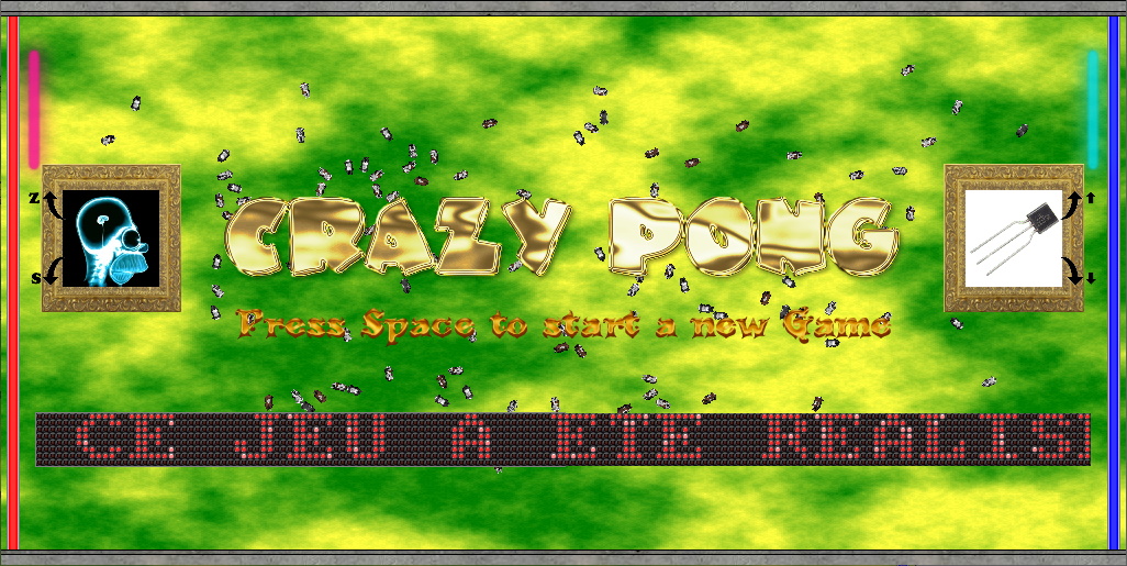 Crazy Pong by Gl0bul