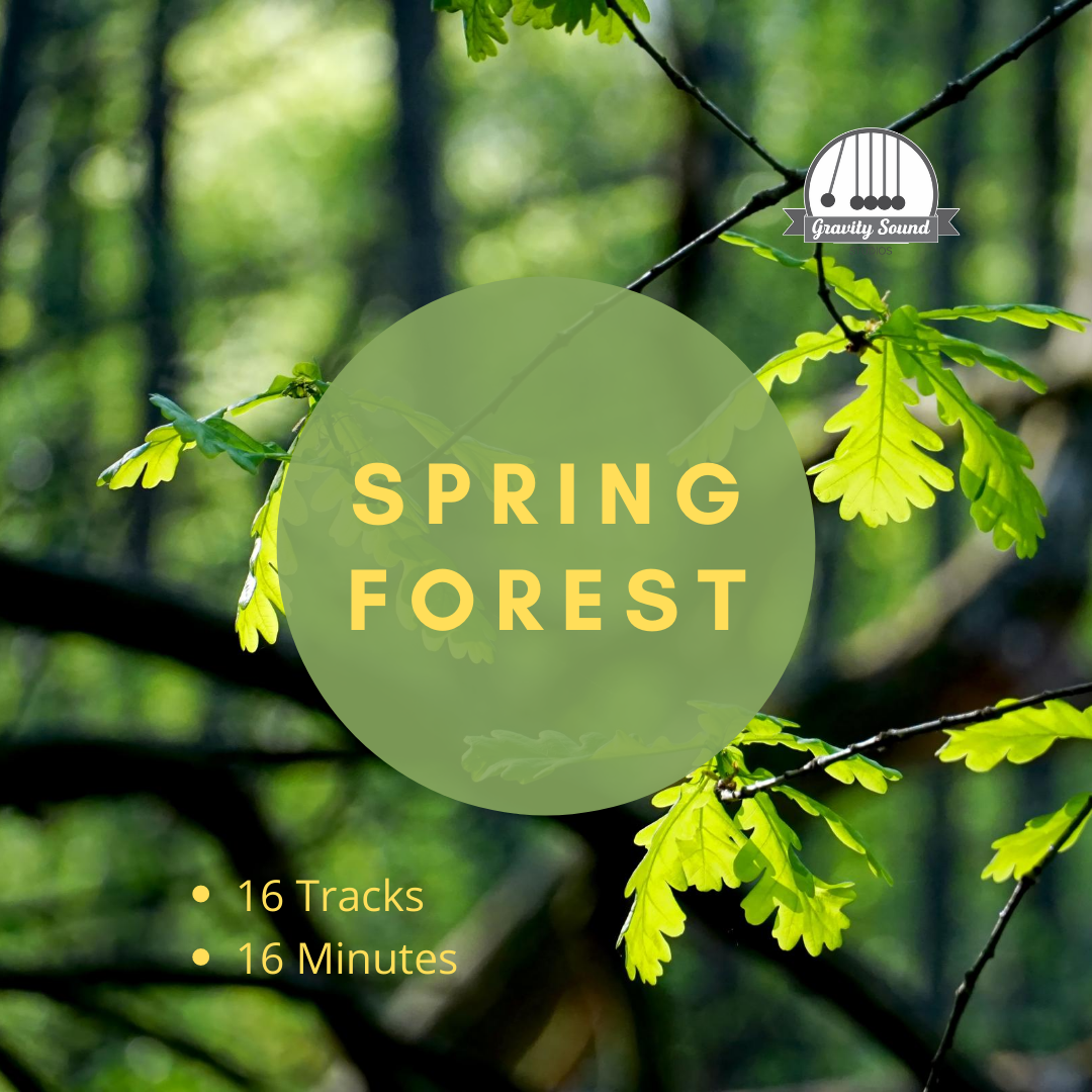 Spring Forest Sounds by Gravity Sound