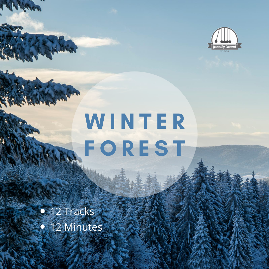 Winter Forest Sounds by Gravity Sound