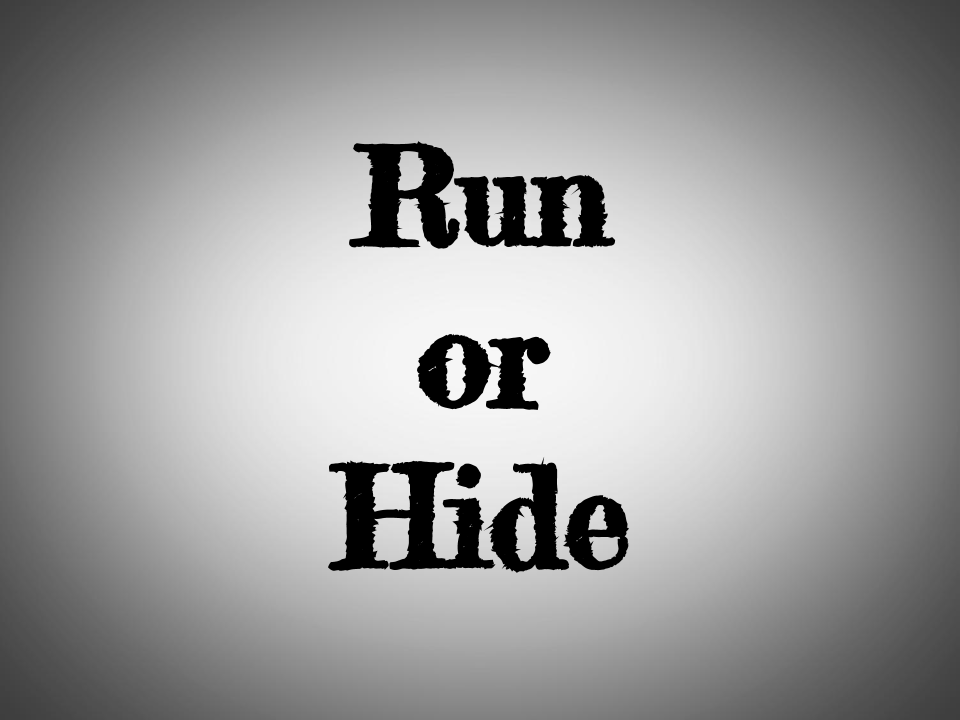 Run or Hide by CRX